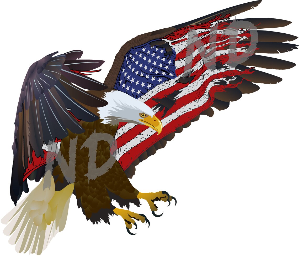 Instant Digital Download American Eagle American Flag Eps - Etsy
