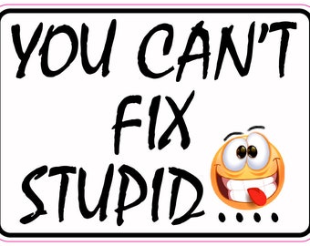 You Can't Fix Stupid Sticker Funny Car Window Vinyl Decal Truck Jdm ...
