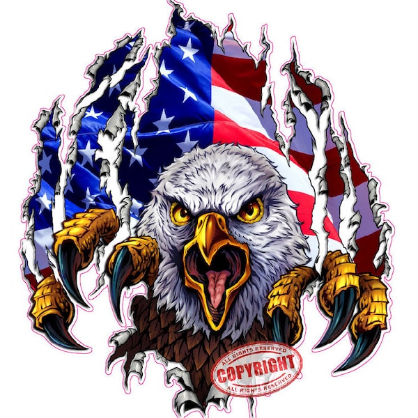 Flag With Eagle Rip Through - Etsy