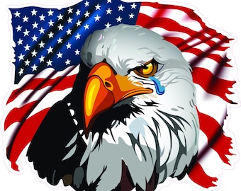 911 Never Forget Eagle