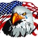 Crying Eagle American Flag Decal Sticker - Etsy
