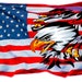 Ripped American Flag Eagle Decal Sticker - Etsy