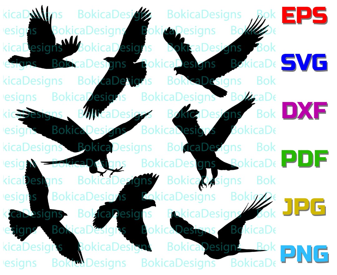 Siluetas de aves rapaces, aves rapaces SVG, DXF, EPS, Pdf, Jpg, Png ...