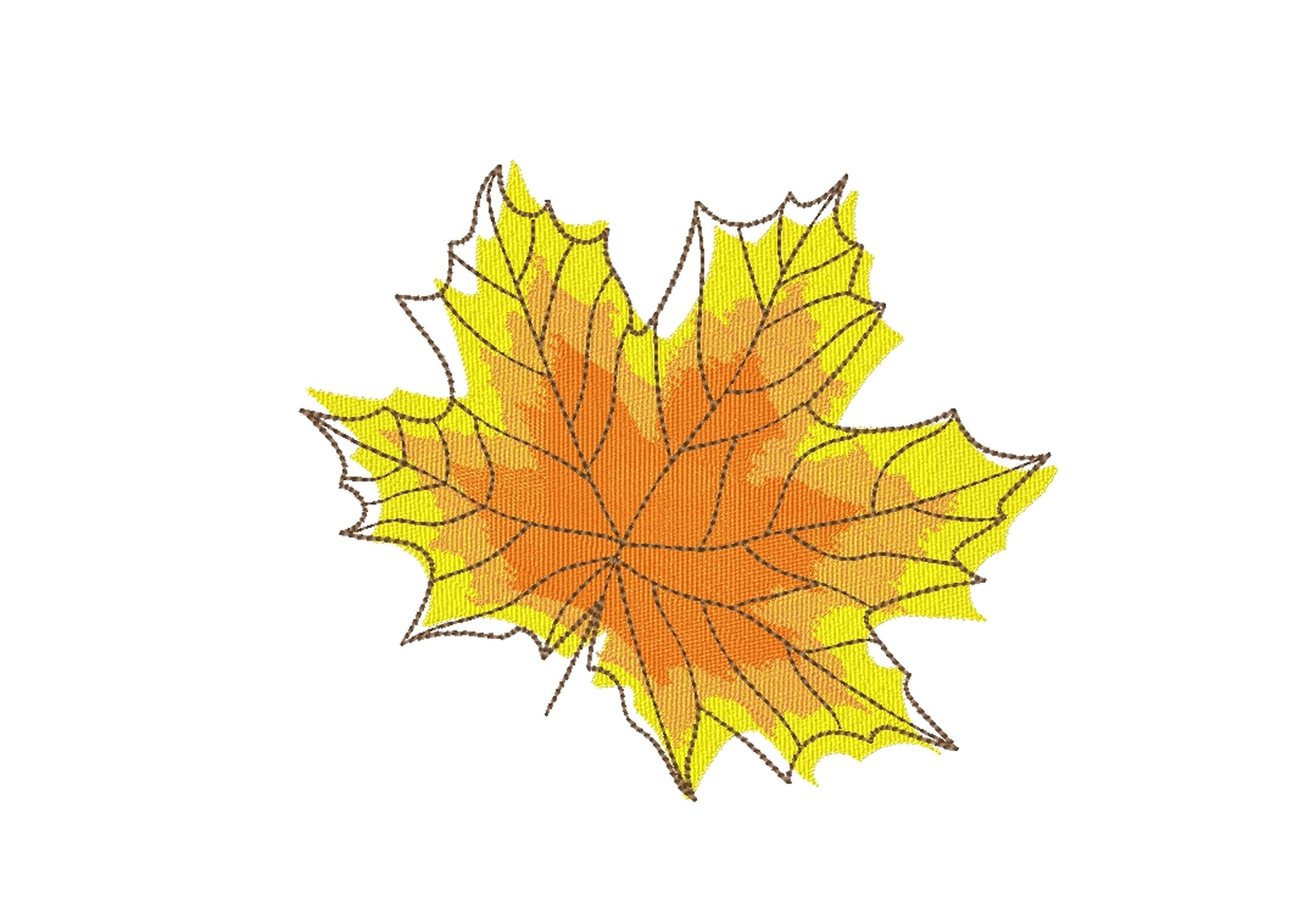 Maple Leaf Embroidery Design 4 Sizes Instant Download - Etsy
