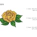 Yellow Rose Embroidery Design, 3 Sizes, Instant Download - Etsy