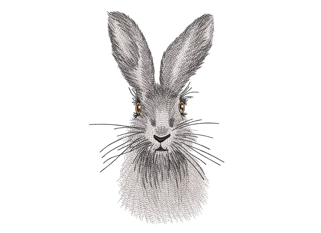 Bunny Embroidery Design, 3 Sizes, Instant Download - Etsy