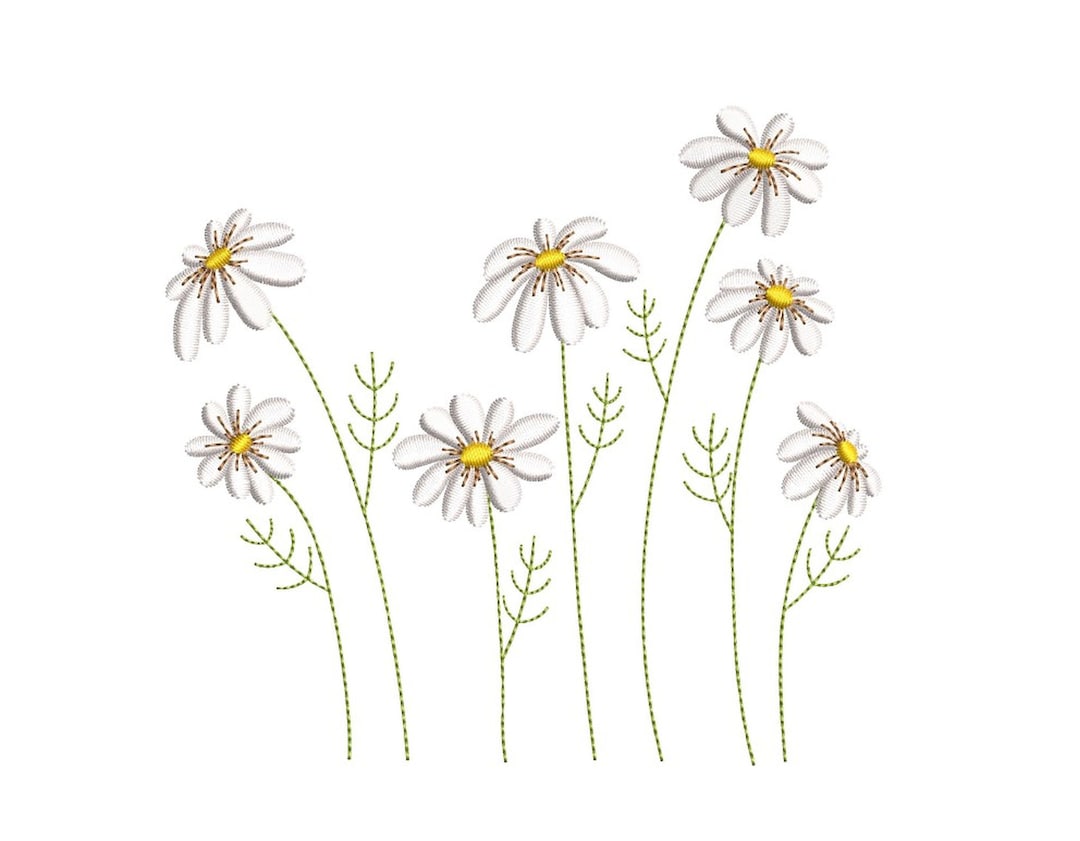 Daisy Flowers Embroidery Design, 4 Sizes, Instant Download - Etsy