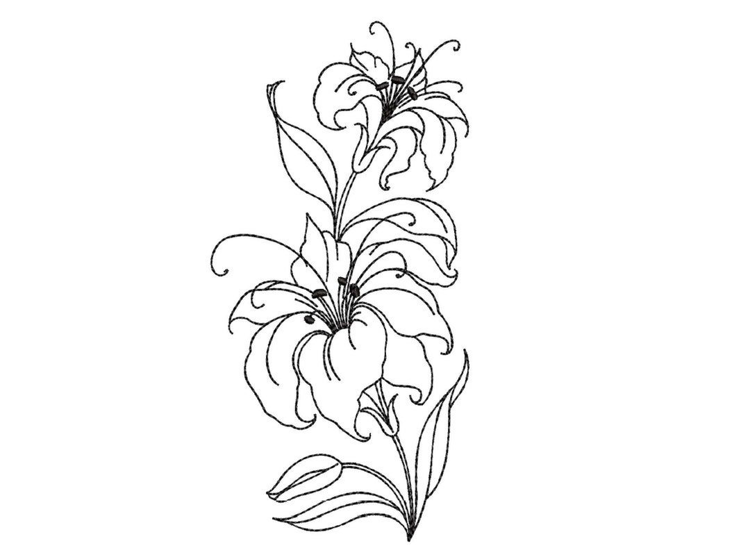 Lily Flower Embroidery Design, 6 Sizes, Instant Download - Etsy
