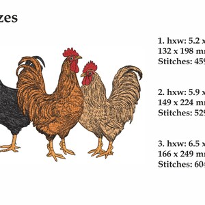 Three Chickens Embroidery Design, Farm Animal Embroidery Design, 3 ...