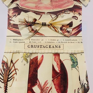 Crustaceans Hand Folded Paper Dress: White Shadow Box Frame Included - Etsy