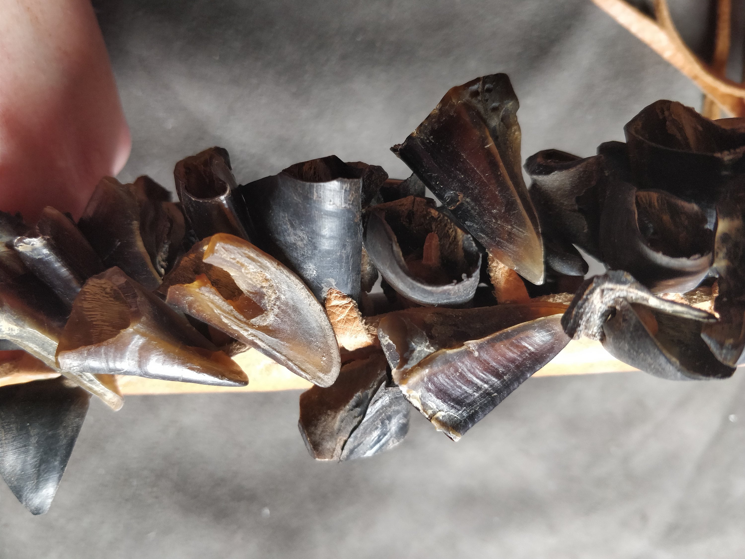 Native American Inspired Hoof Rattle Medicine Man Rattle - Etsy