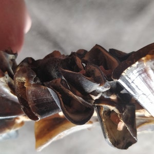 Native American Inspired Hoof Rattle, Medicine Man Rattle, Shaman, Deer ...