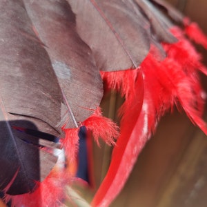 Vintage Man's Round Bustle or Chicken Dance Bustle, Adult Size, Powwow ...