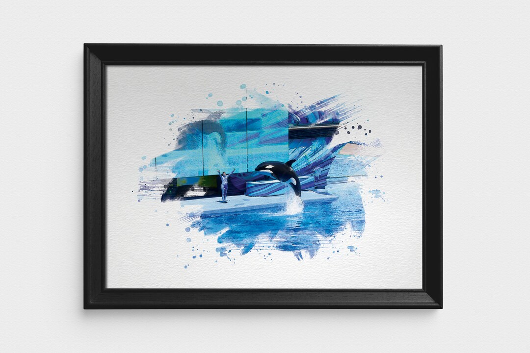 Seaworld Orca Killer Whale Watercolour Print Seaworld Wall Art Prints ...