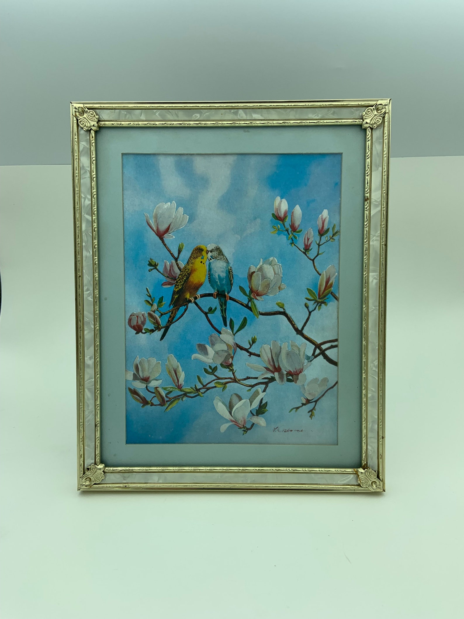 Vintage Signed F. Osborne Foil Art Print Parakeet Birds And | Etsy