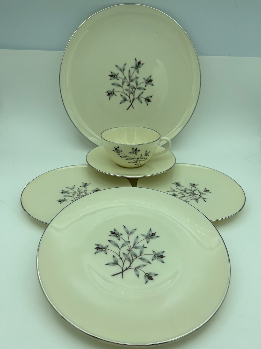 Vintage 6-piece Lenox Princess Pattern #X-516 Platinum Floral ...