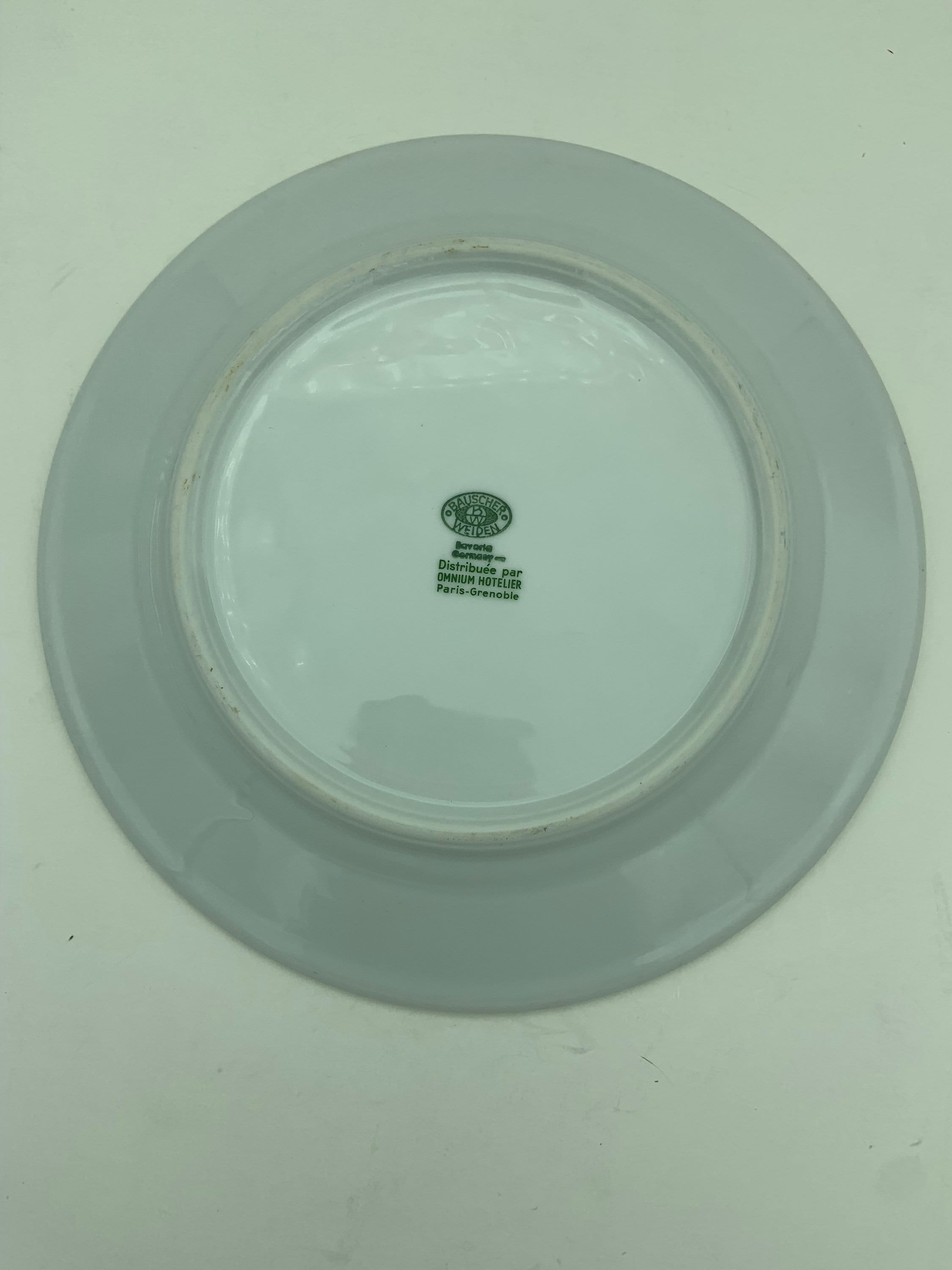 Home & Living Bauscher Weiden BAW38 8 Salad Plate Red Green and Blue ...