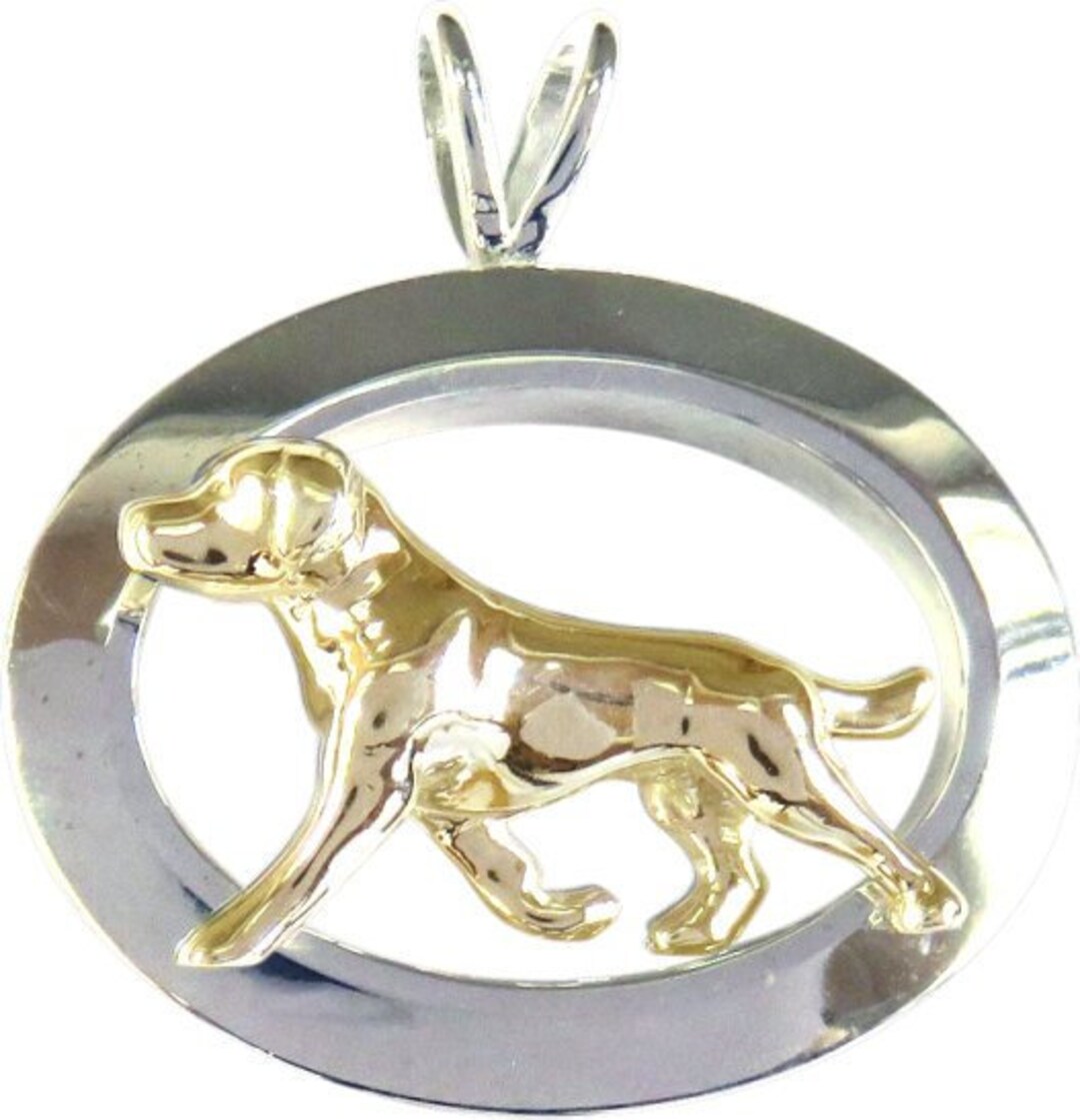 Labrador Retriever Glossy Oval Jewelry Labrador Retriever 14K Gold or ...