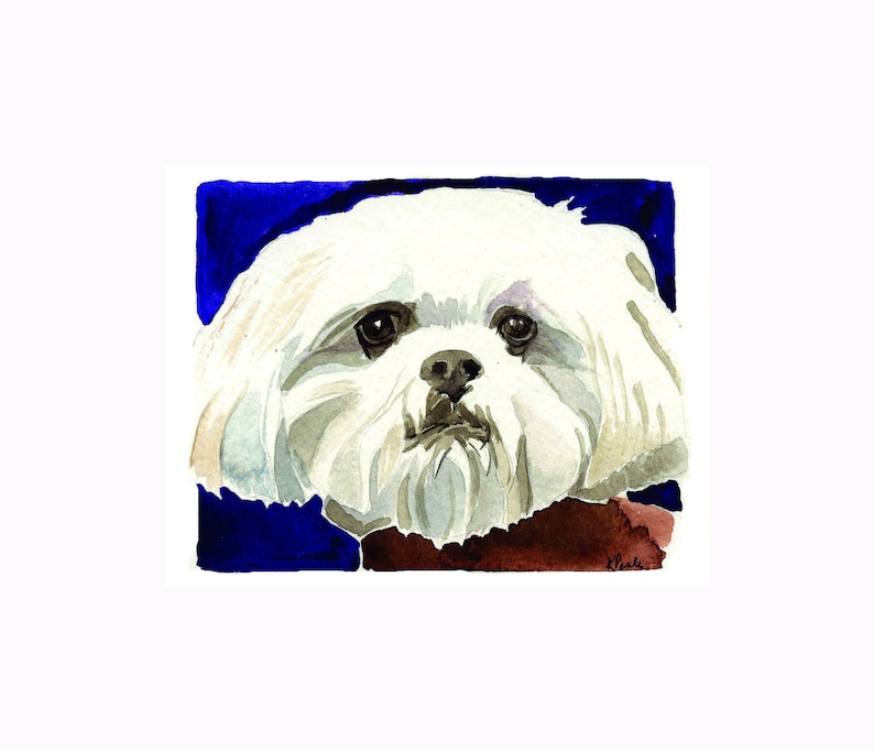 Lhasa Apso Note/ Greeting Card - Etsy