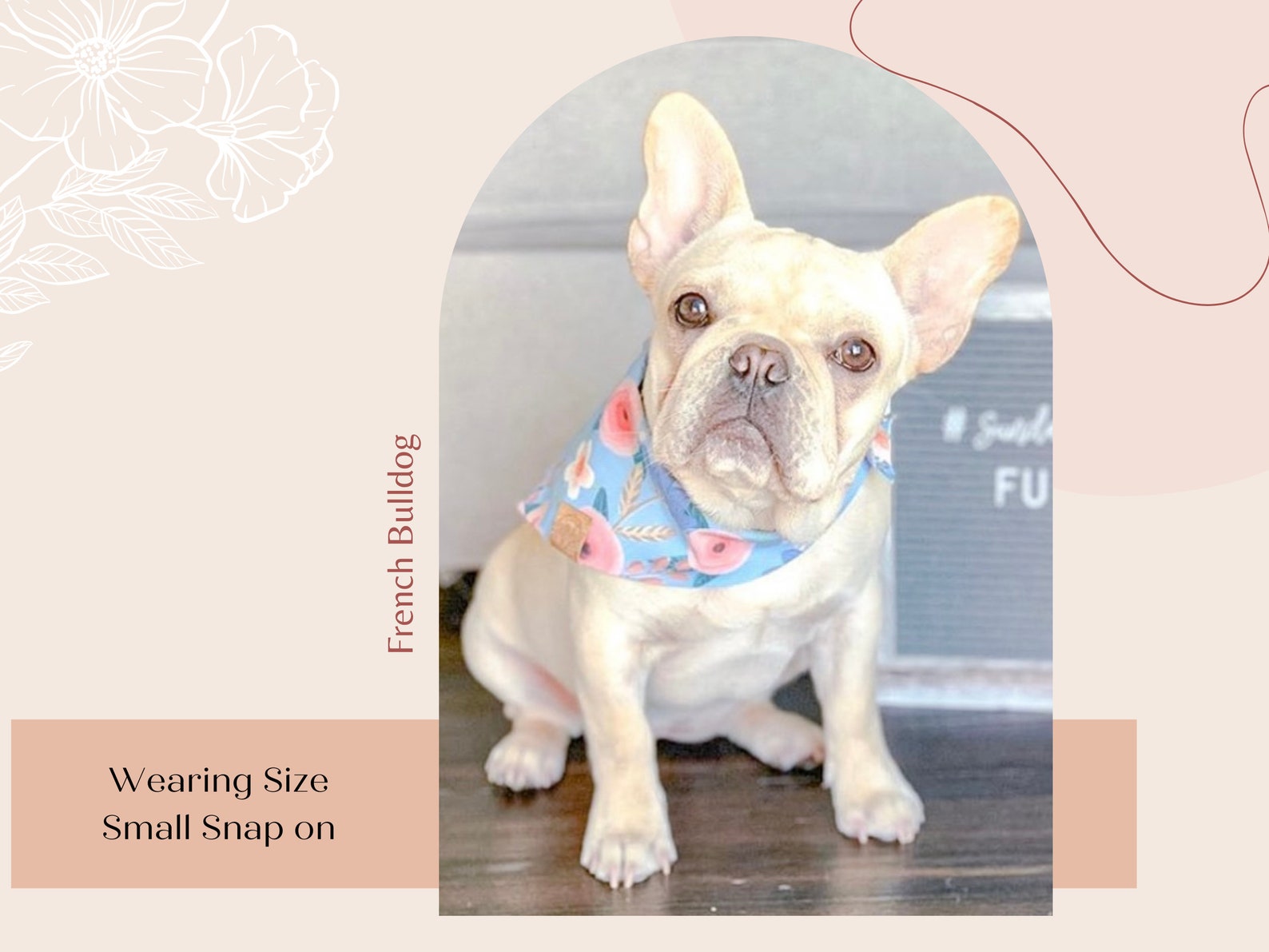 Periwinkle Dog Bandana Blue Floral Dog Bandanas Summer Dog - Etsy