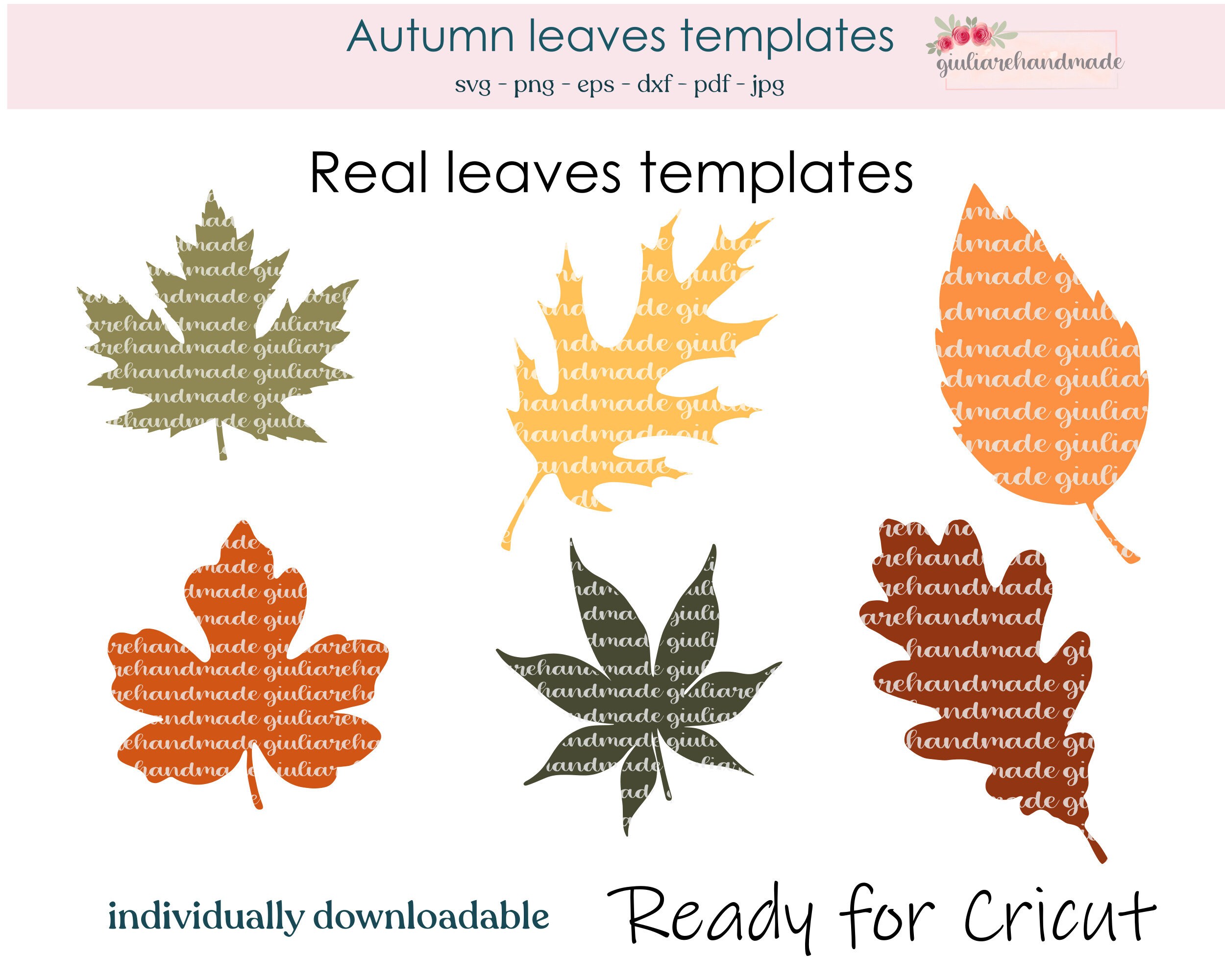 Fall Svg Autumn Svg Svg Files for Cricut 6 Beautifull - Etsy