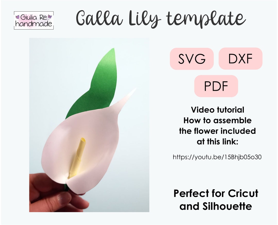 Calla Lily Flower, Svg Files for Cricut, Paper Flower Svg, Digital ...