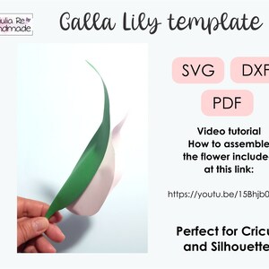 Calla Lily Flower, Svg Files for Cricut, Paper Flower Svg, Digital ...