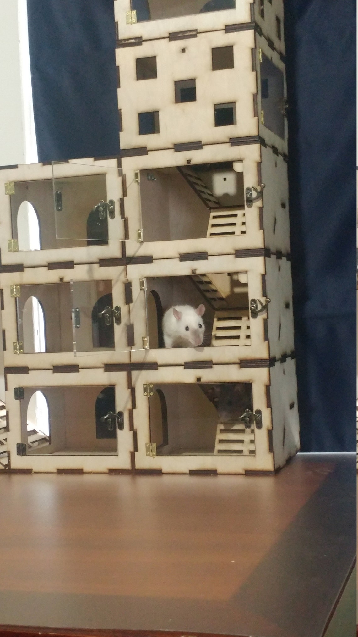 Rat Castle Cubes digital File - Etsy