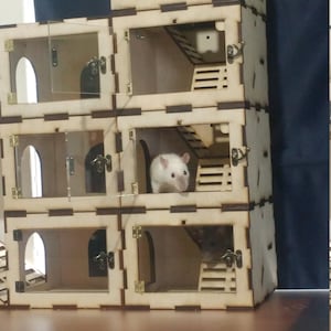 Rat Castle Cubes (digital File) - Etsy