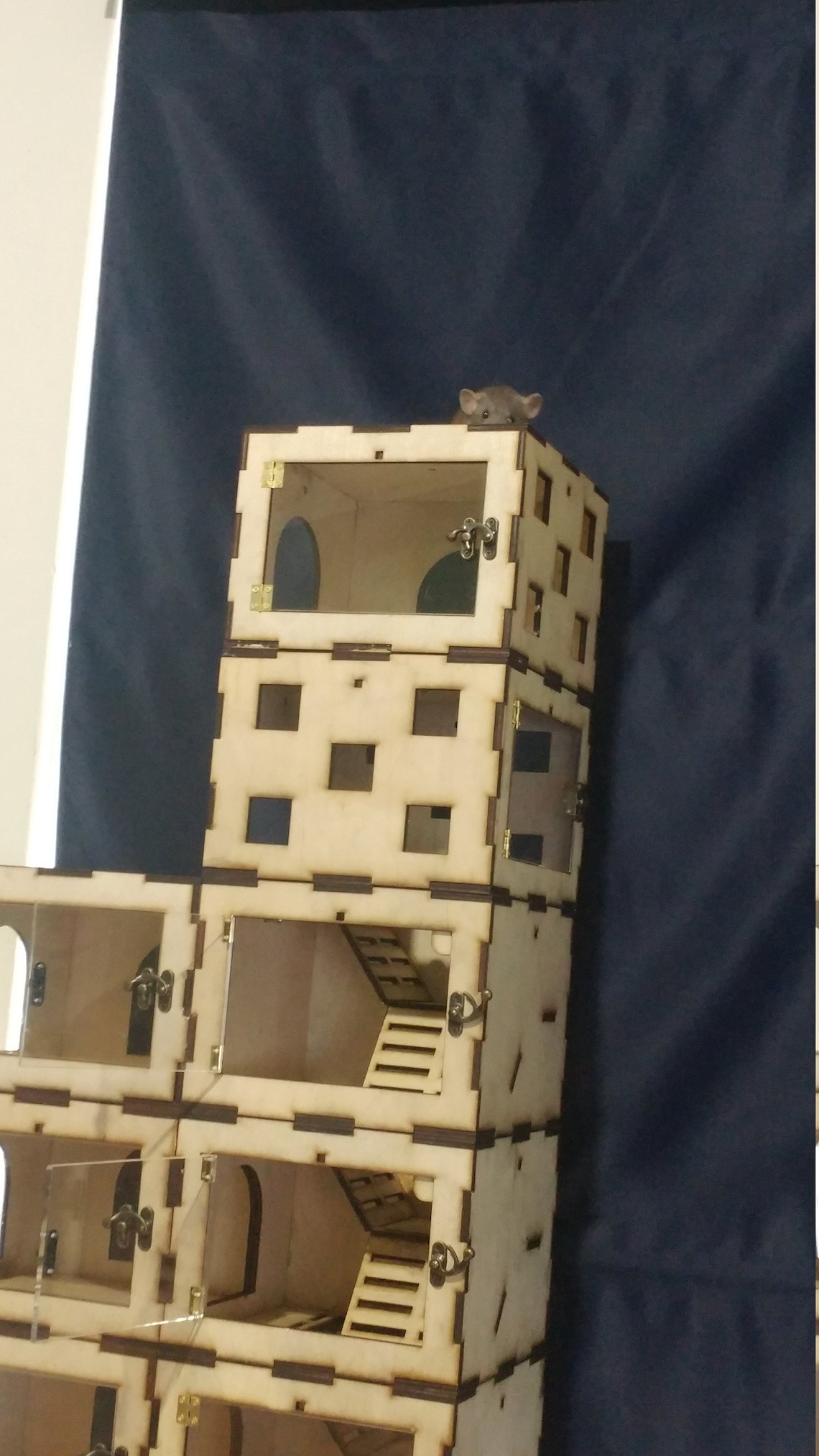 Rat Castle Cubes digital File - Etsy