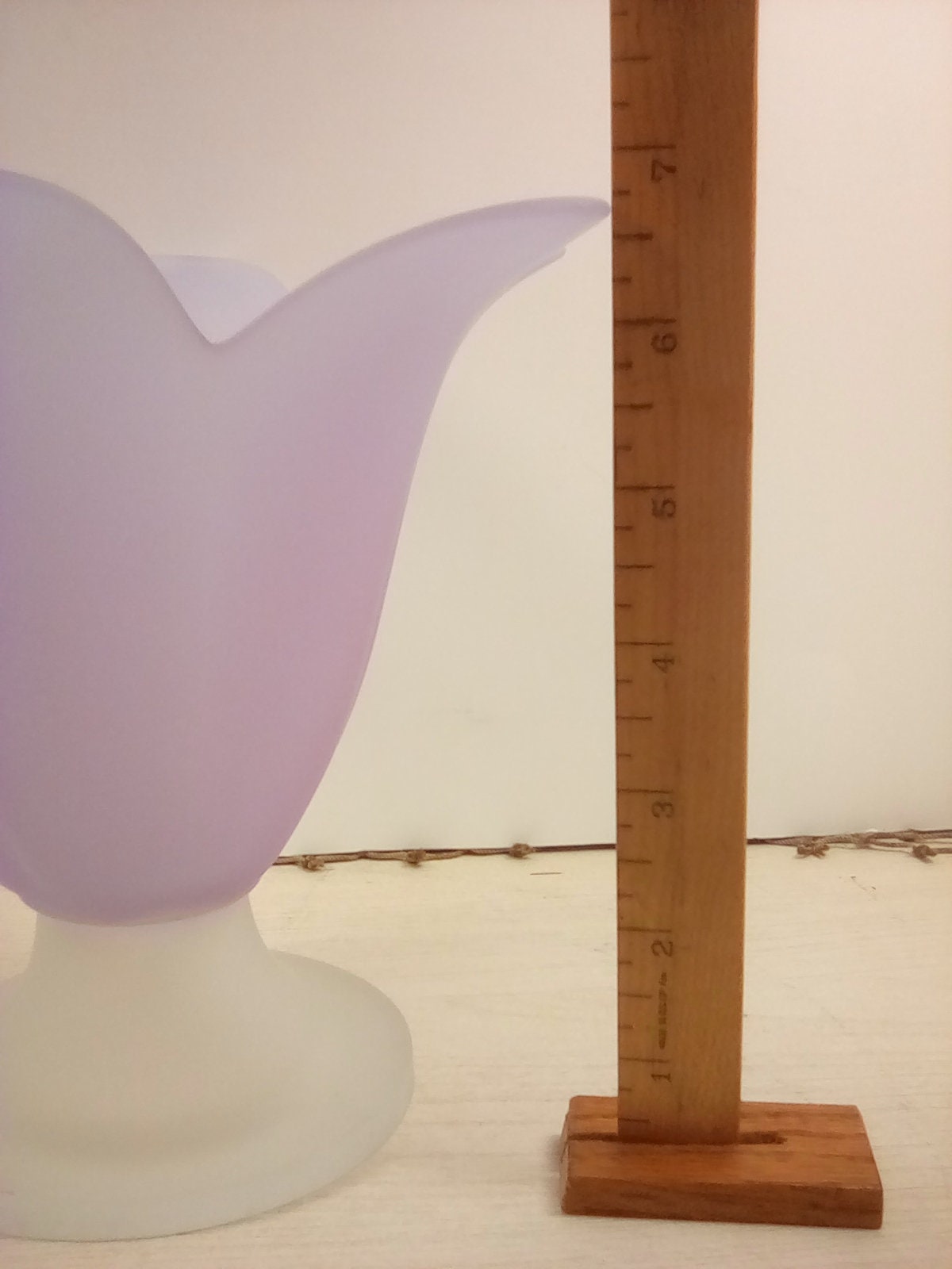 Tulip Shape Glass Vase - Etsy