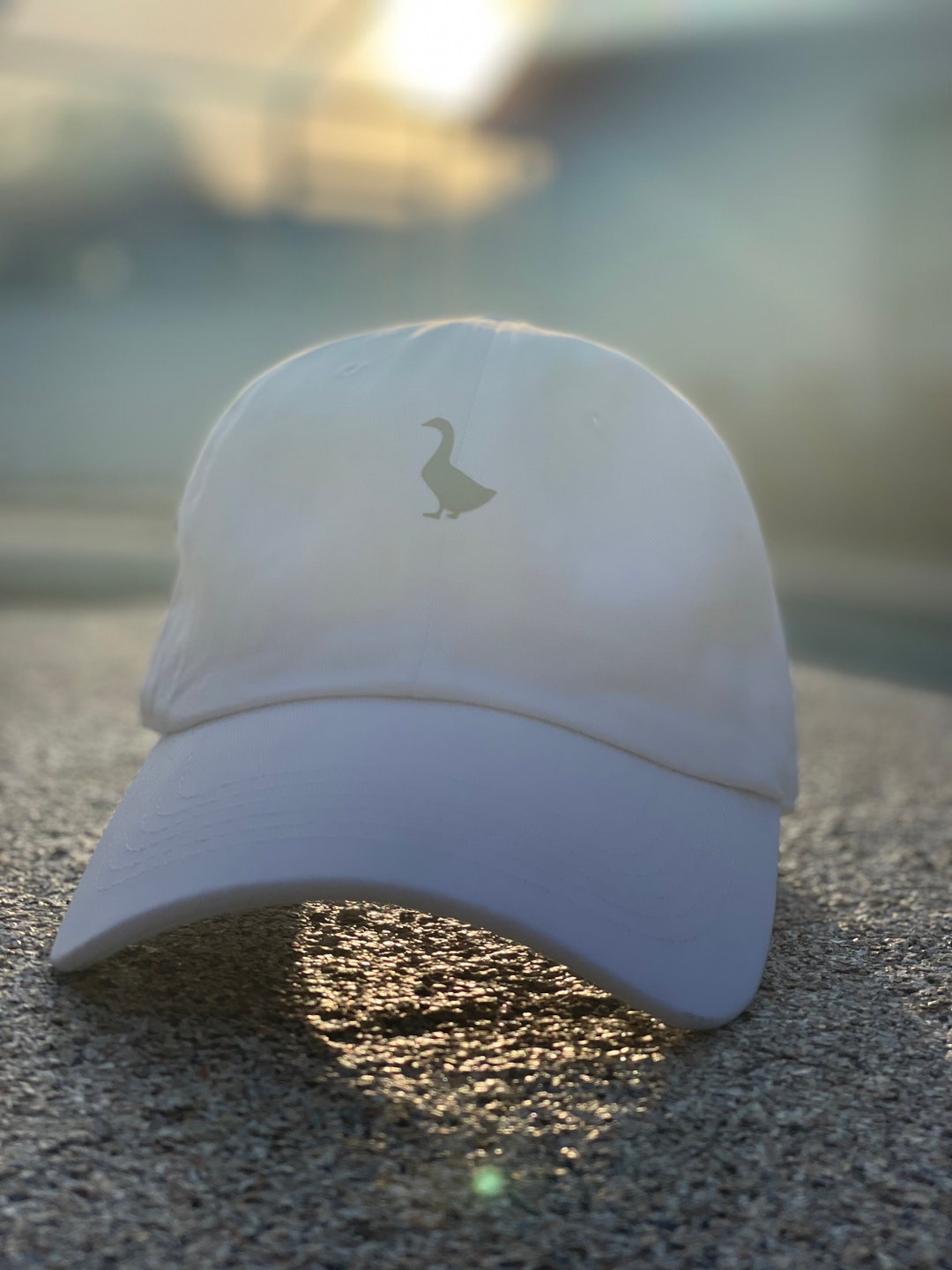 Chic SILLY GOOSE Baseball Hat - Etsy