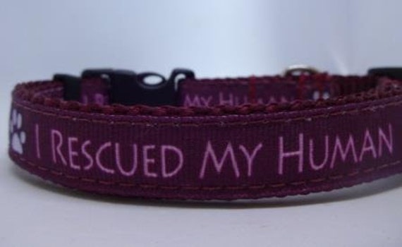 Human Pet Collar