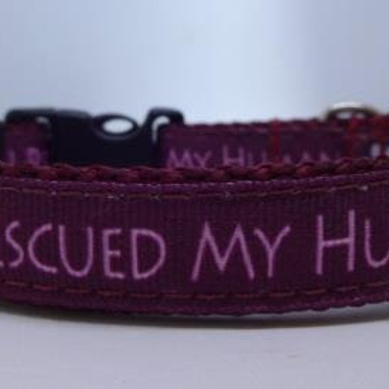 Human Collar and Leash - Etsy