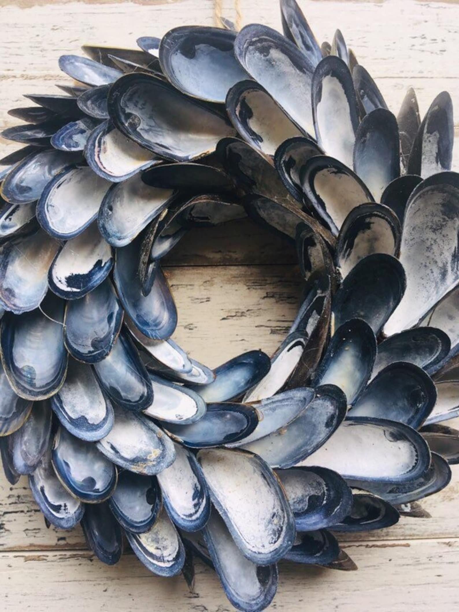 Mussel Wreath, Wreaths Made With Seashells, Wreaths for Beach Homes ...