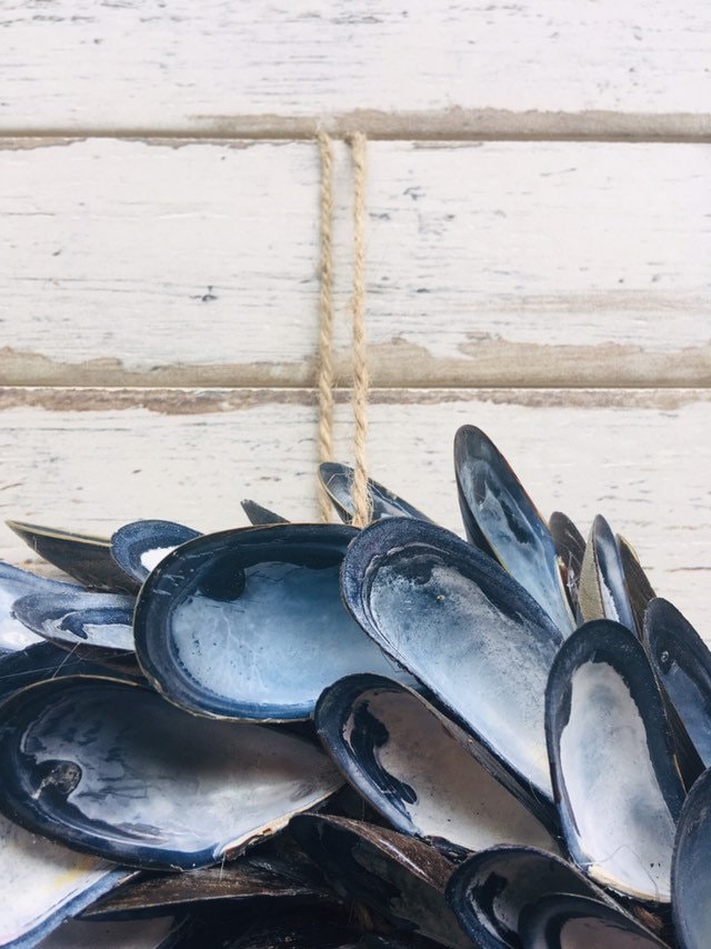 Mussel wreath wreaths made with seashells wreaths for beach | Etsy