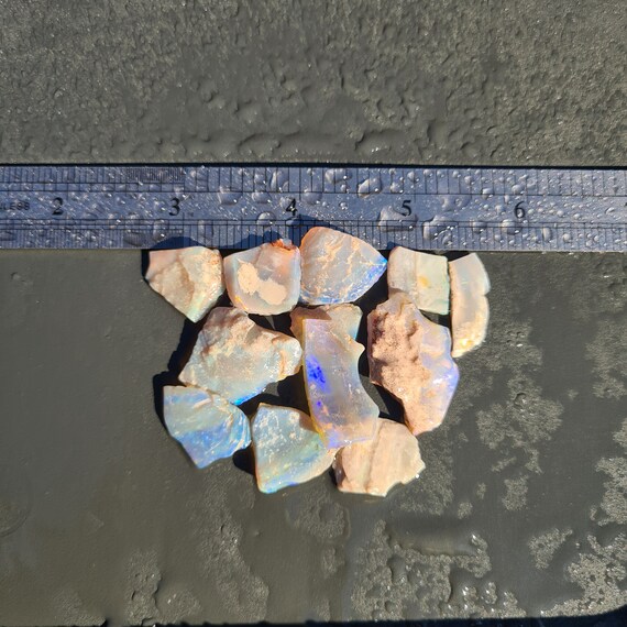 Opal Shell Fossils 67 Carats - Etsy