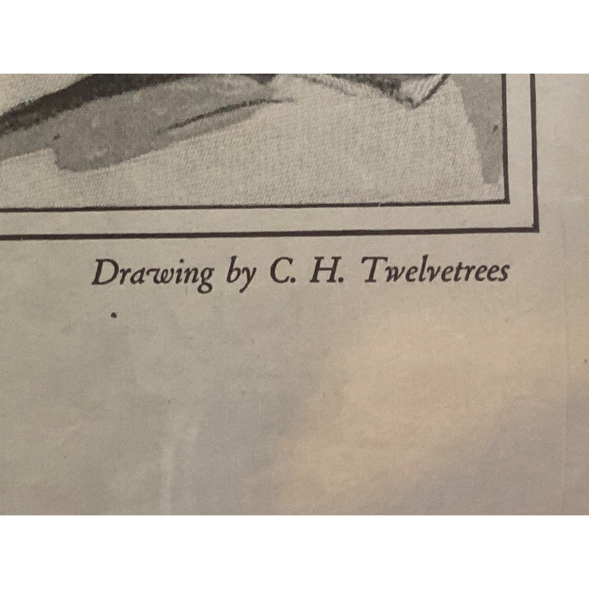 1919 Charles Twelvetrees, Pictorial Review Company, NY Quintuplet ...