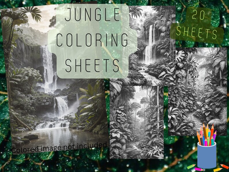 Jungle Coloring Sheets - Etsy