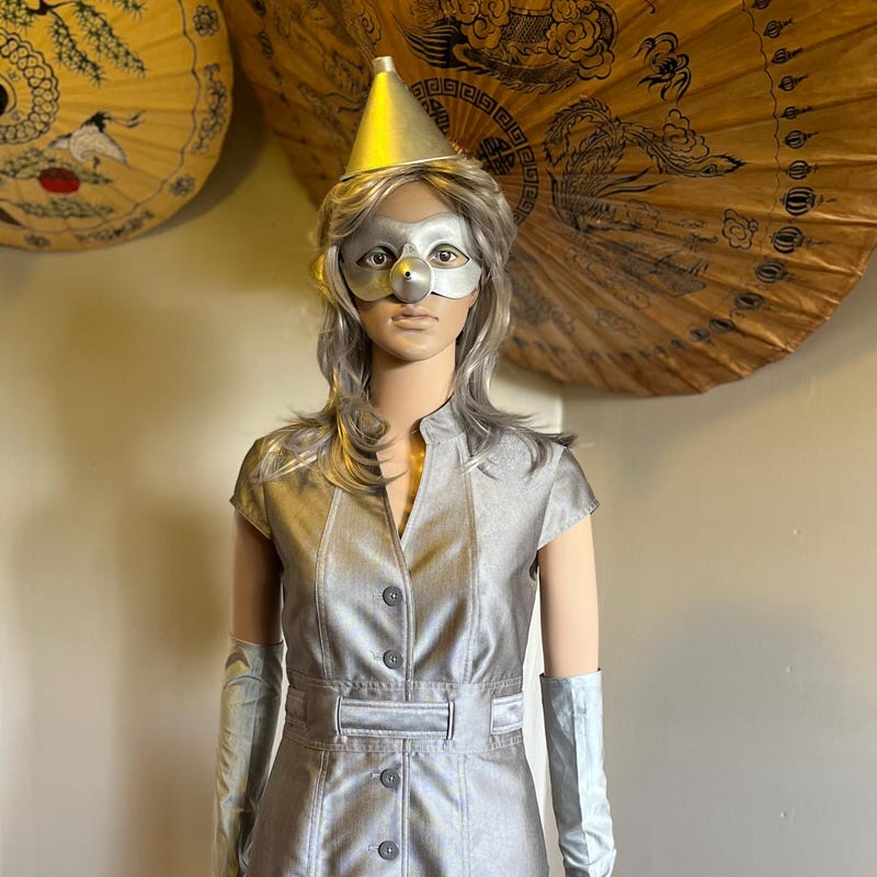 Women Tin Man Costume - Etsy