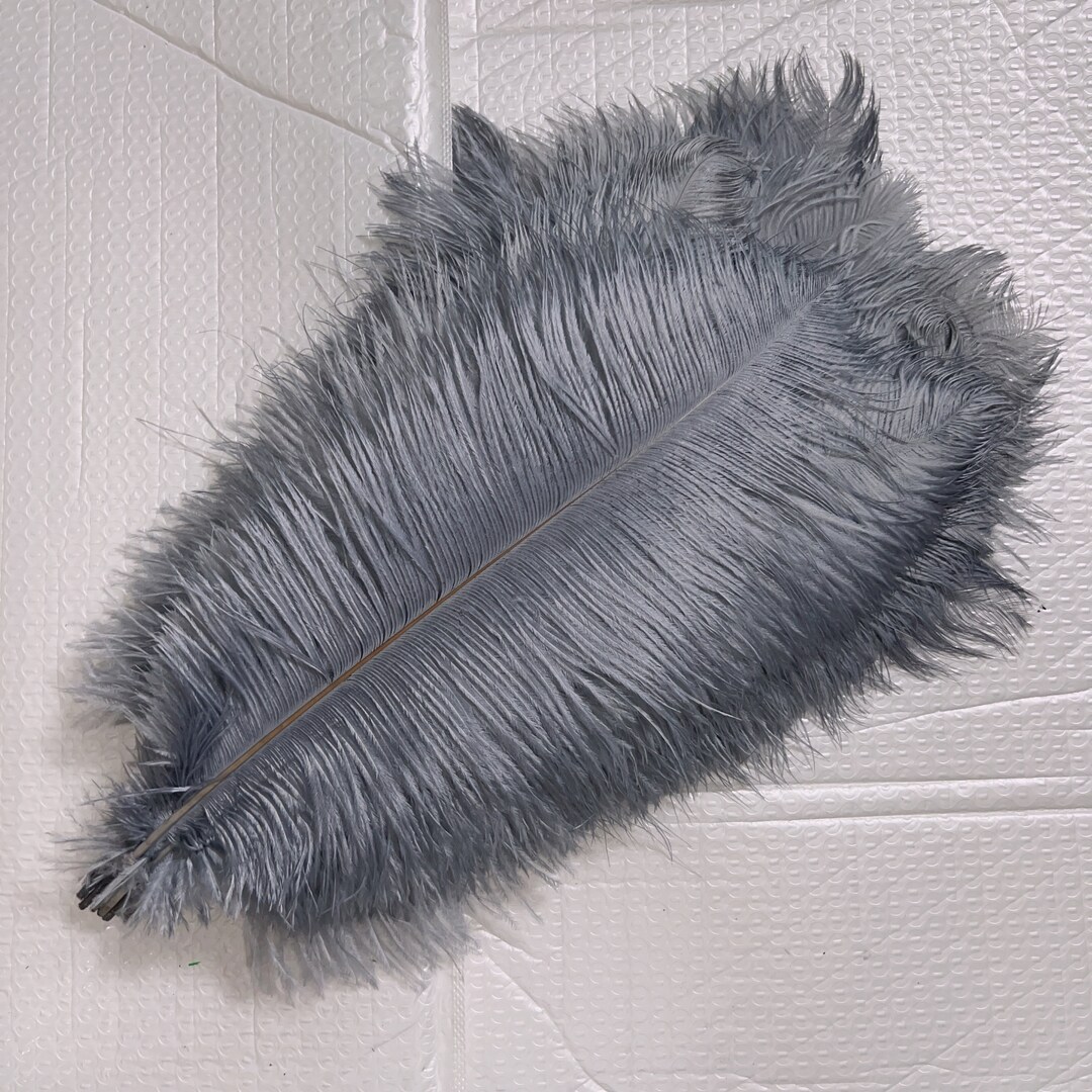 100 Pcs Grey Ostrich Feather for Crafts Wedding Decoration Natural ...