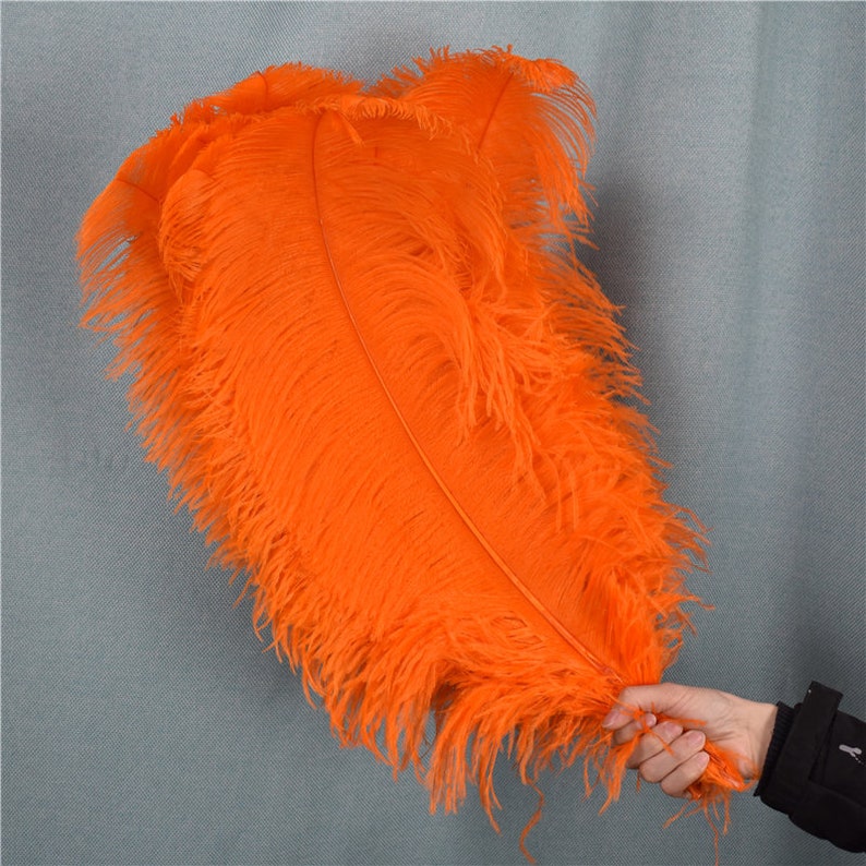 100 Pcs Orange Ostrich Feather for Crafts Wedding Decoration - Etsy