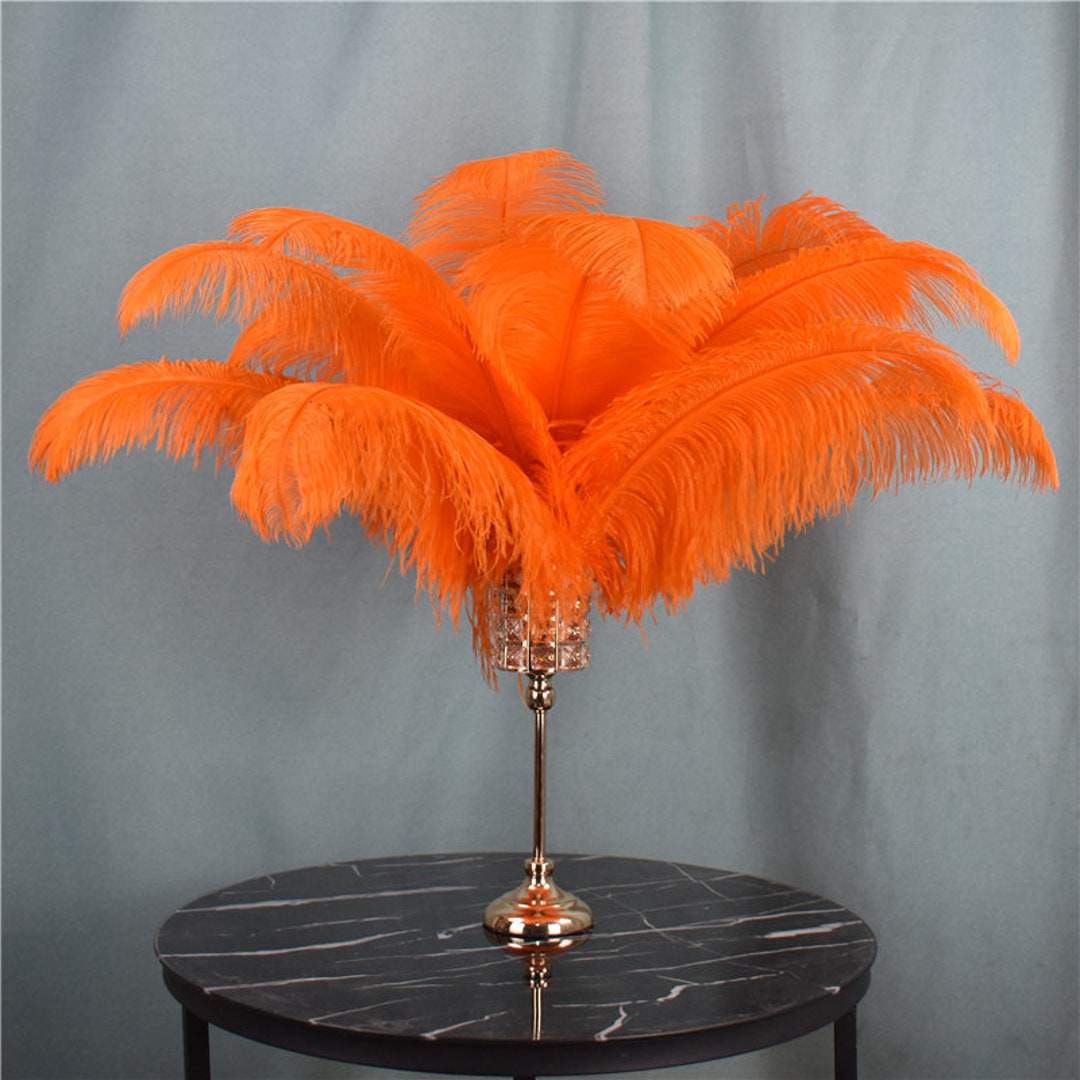 100 Pcs Orange Ostrich Feather for Crafts Wedding Decoration Natural ...