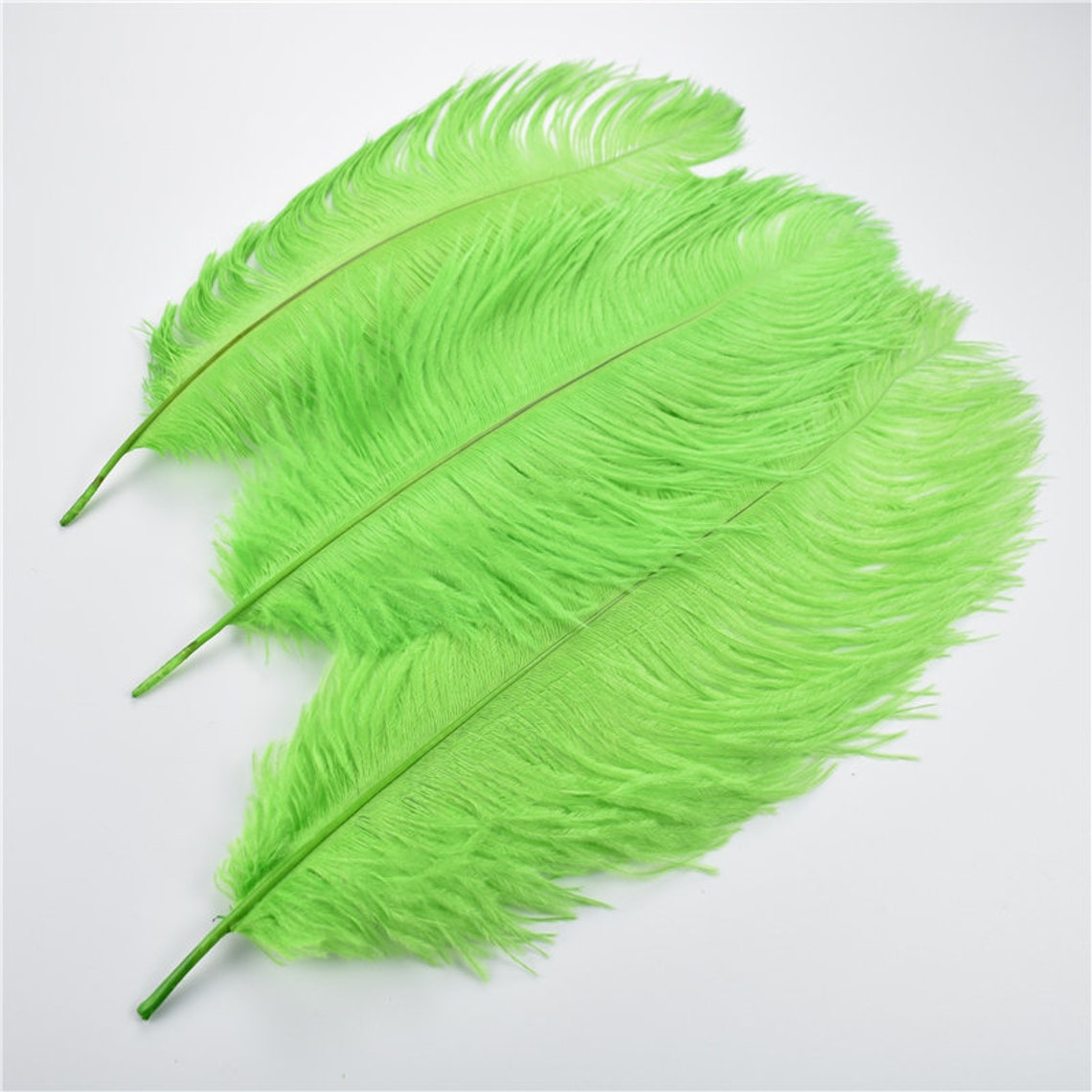 100 Pcs Green Ostrich Feather for Crafts Wedding Decoration | Etsy