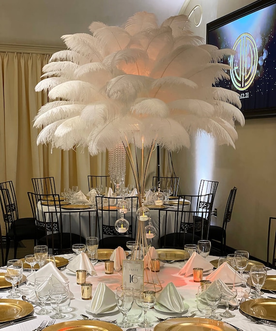 100 ostrich feathers store