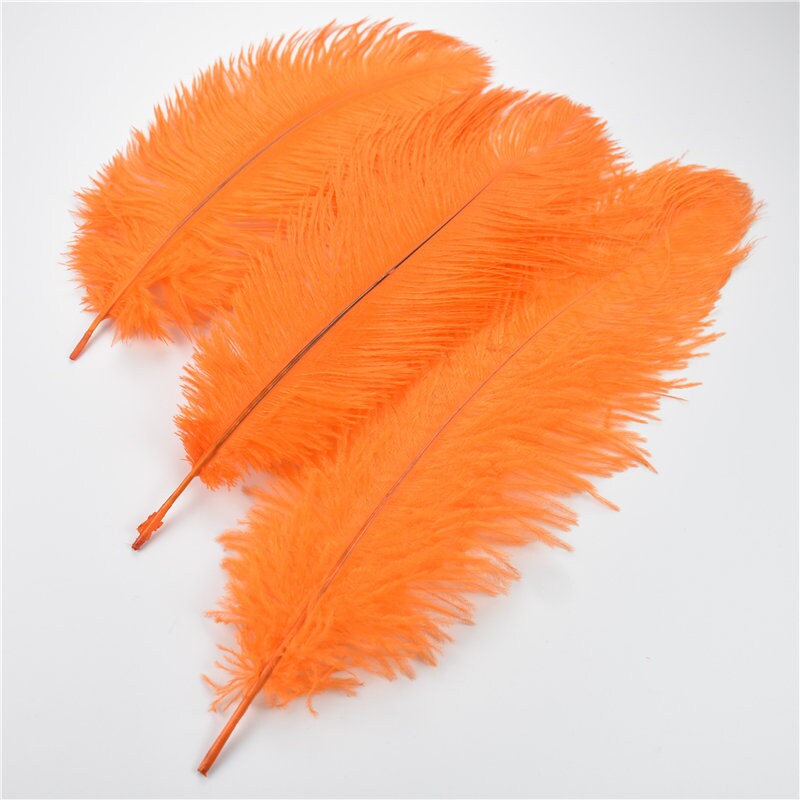 100 Pcs Orange Ostrich Feather for Crafts Wedding Decoration - Etsy