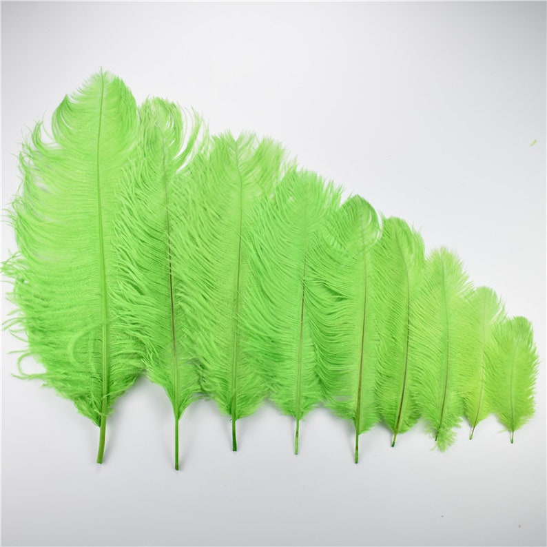 100 Pcs Green Ostrich Feather for Crafts Wedding Decoration Natural ...