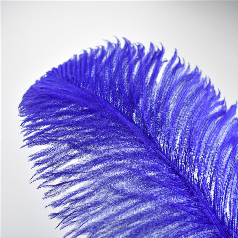 100 Pcs Sapphire Ostrich Feather for Crafts Wedding Decoration - Etsy