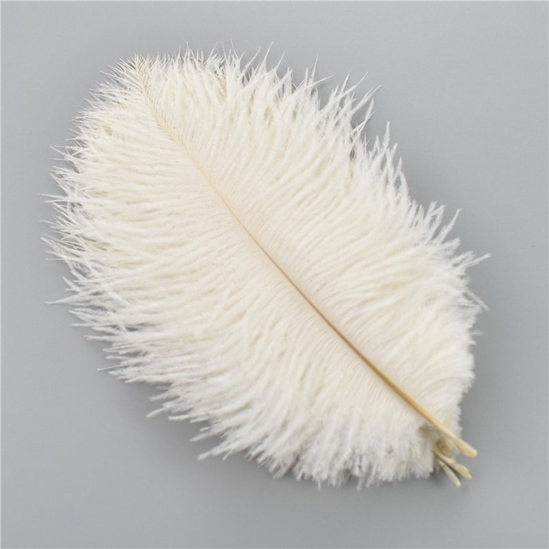 100 Pcs Ostrich Feather for Crafts Wedding Decoration Natural - Etsy