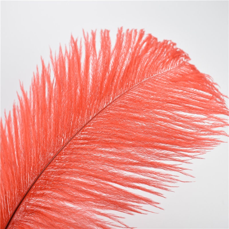100 Pcs Red Ostrich Feather for Crafts Wedding Decoration Natural ...